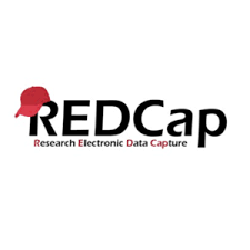 REDCap 2: Beyond the Basics November 2024 / Events